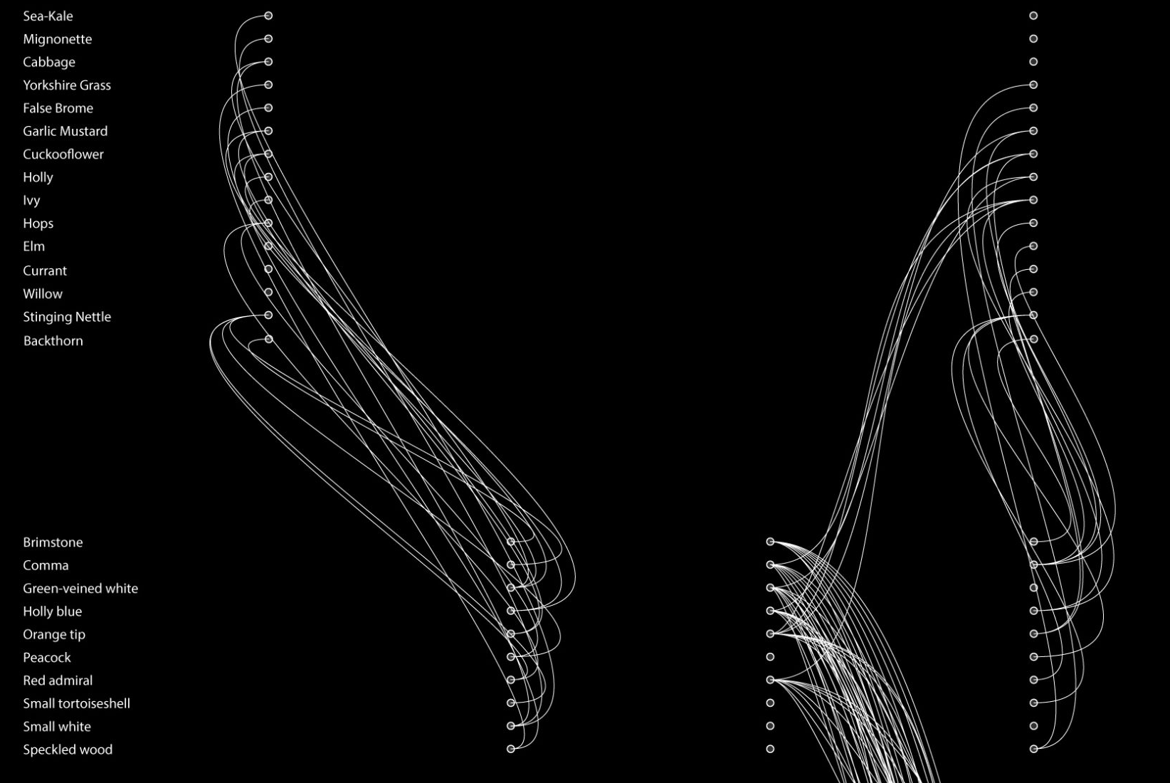 NERC Project - Temporal Design
